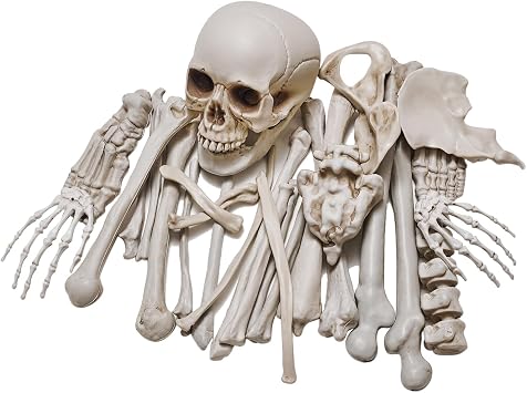 Amazon.com : 28 Pieces Life Size Skeleton Bones Halloween Decorations ...