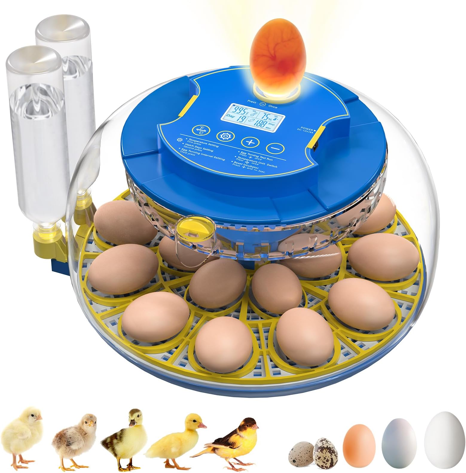 Amazon.com: 18 Egg Incubator with Automatic Egg Turning and Humidity ...