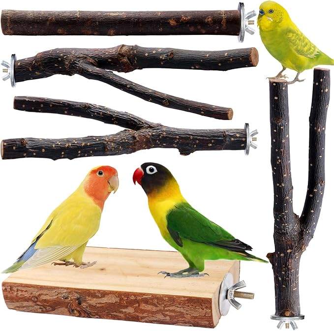 Bird Toys Parakeet Perch Budgie Perch Wood Stand Fork Toys Multi-Branch ...