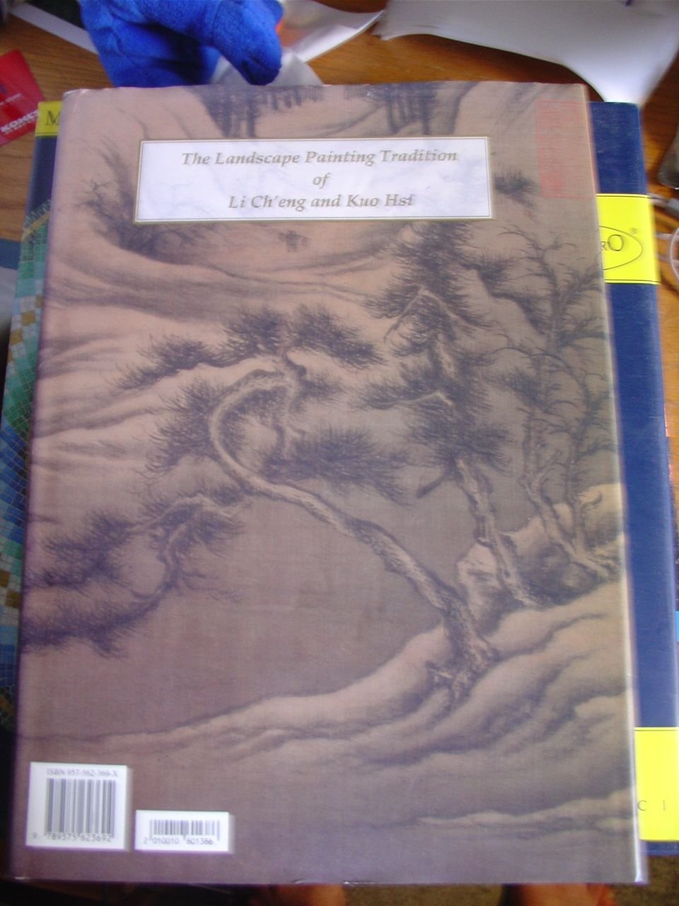 Li Guo Shan Shui Hua Xi Te Zhan Landscape Painting | Desertcart INDIA