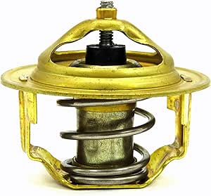 Amazon.com: 3704299M1 OEM Agco Thermostat Without Housing for ...