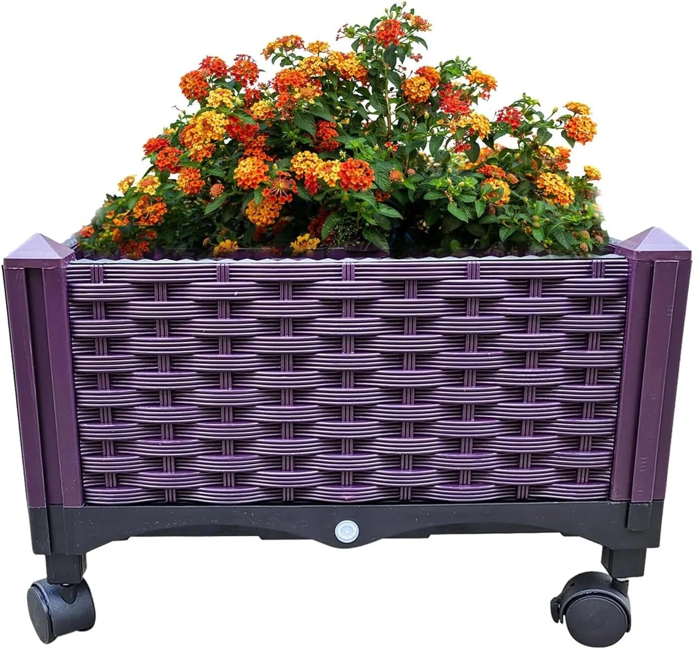 Amazon.com: Generic VcJta Plastic Rolling Garden Bed Planter with ...