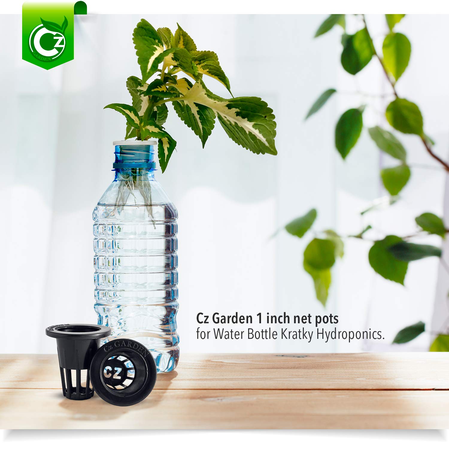 100 Pack - 1 inch Net Pots Cz All Star Round Heavy Duty Net Cups Wide ...