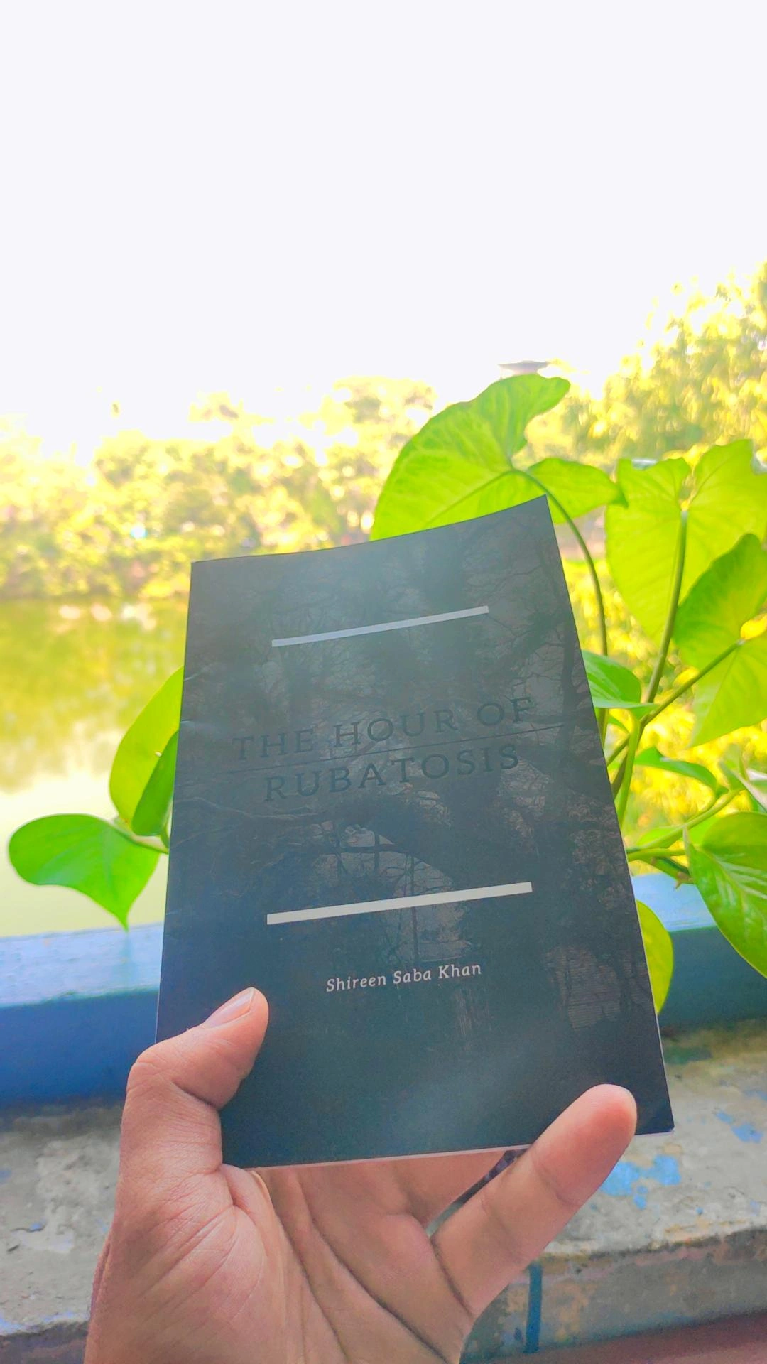 Buy The Hour of Rubatosis Book Online at Low Prices in India | The Hour ...