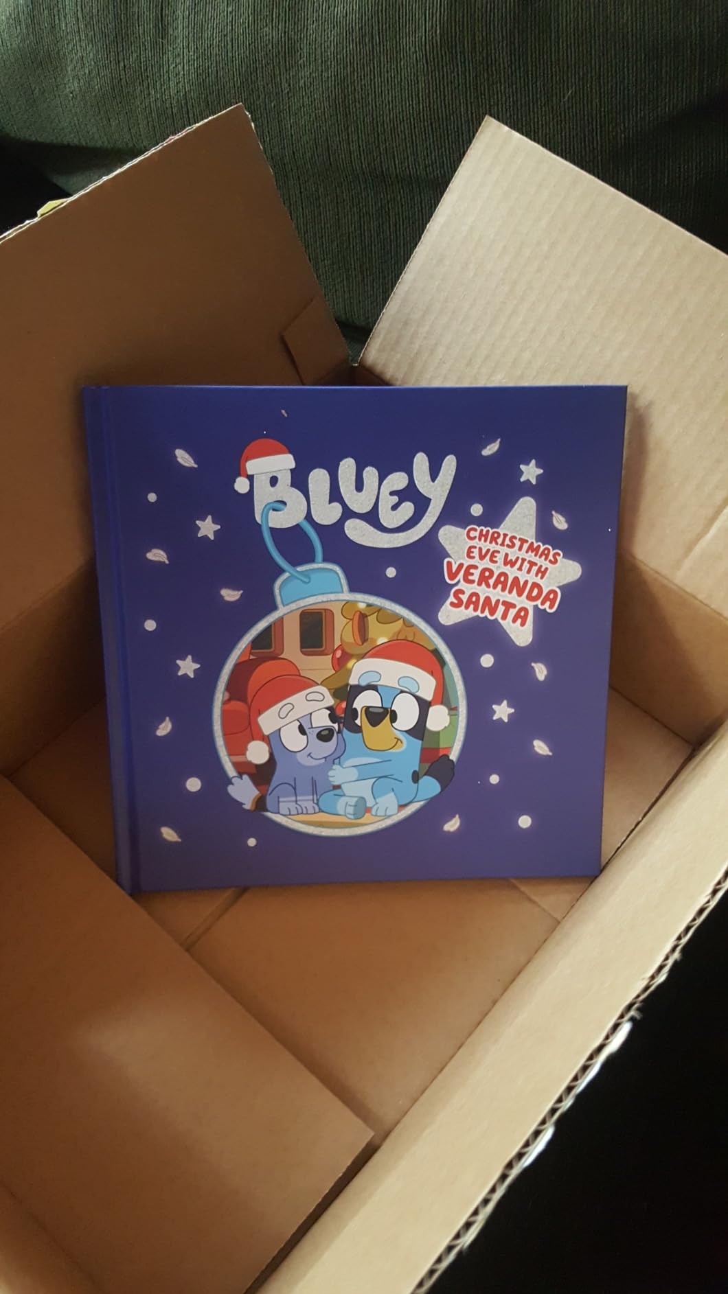Bluey: Christmas Eve with Veranda Santa Picture Book Bluey ...