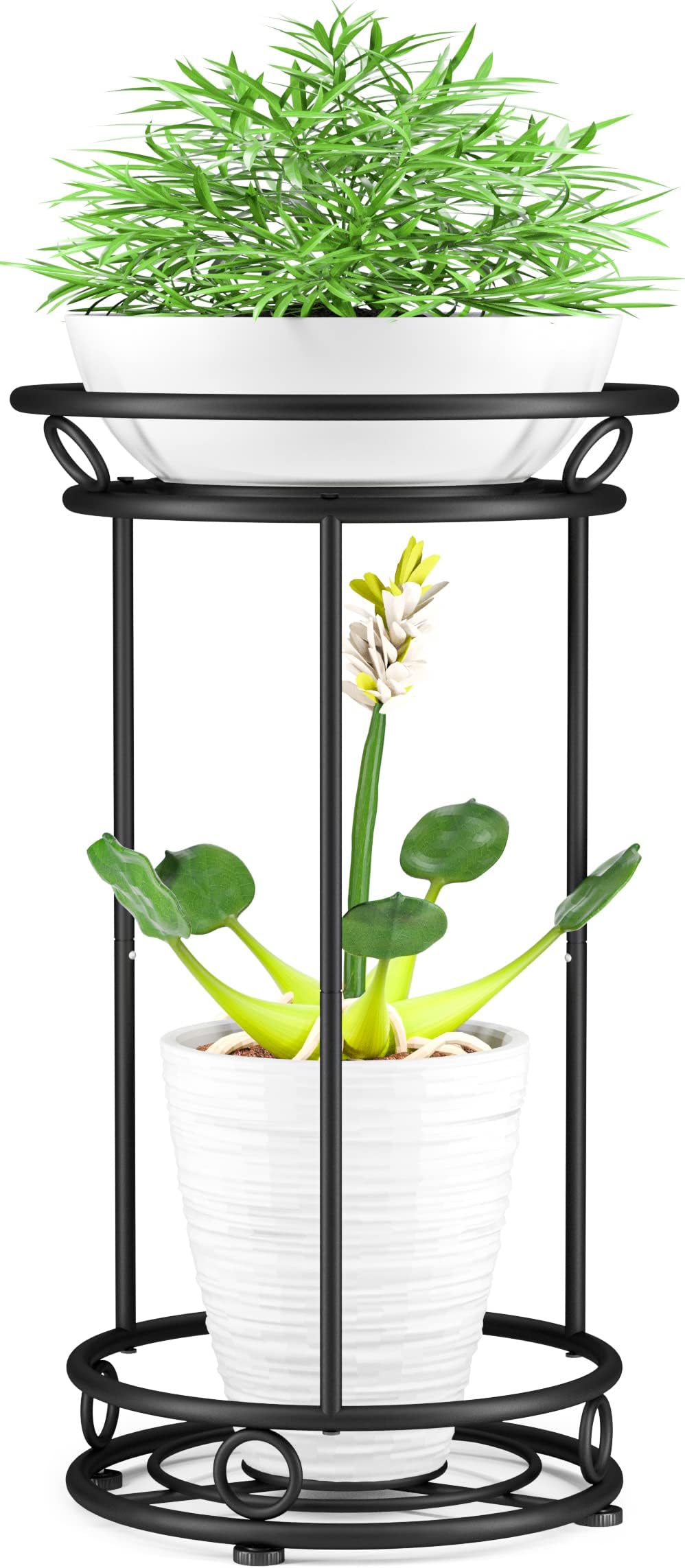 Amazon.com : CobraCo 30-Inch Black Basic Plant Stand S1030-B : Plant ...