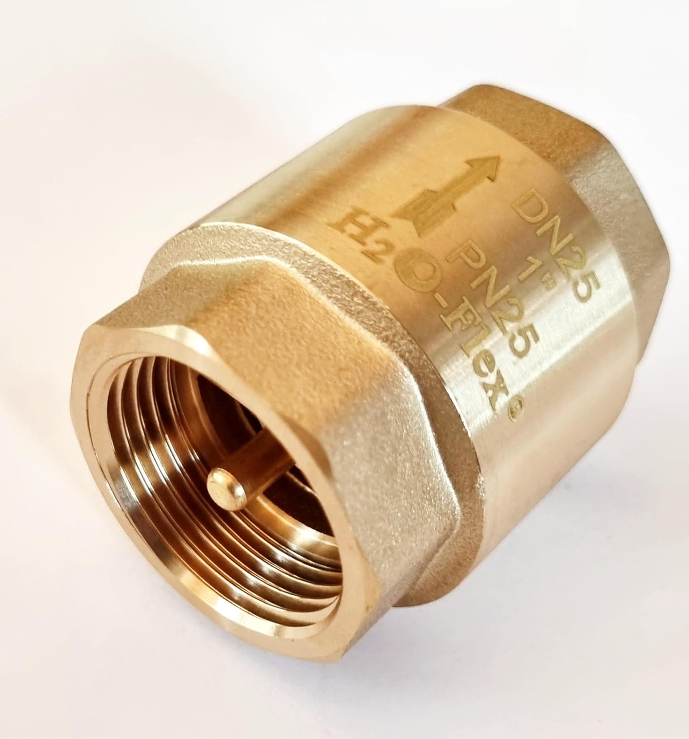 H2O-Flex® DN25 Check Valve 1 Inch Completely Made of Brass, up to 90 °C ...