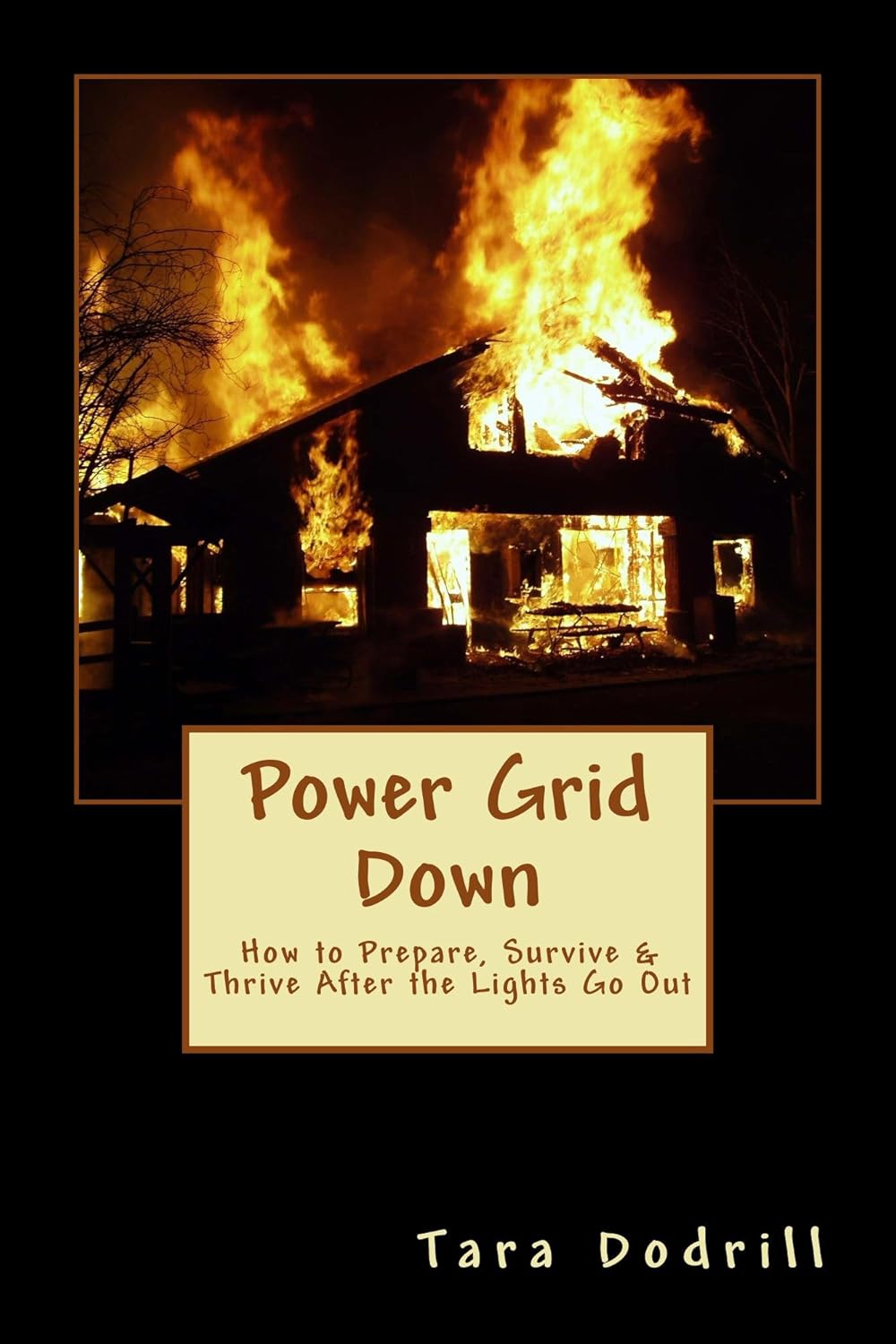 Power Grid Down: Prepare, Survive & Thrive After The Lights Go Out ...