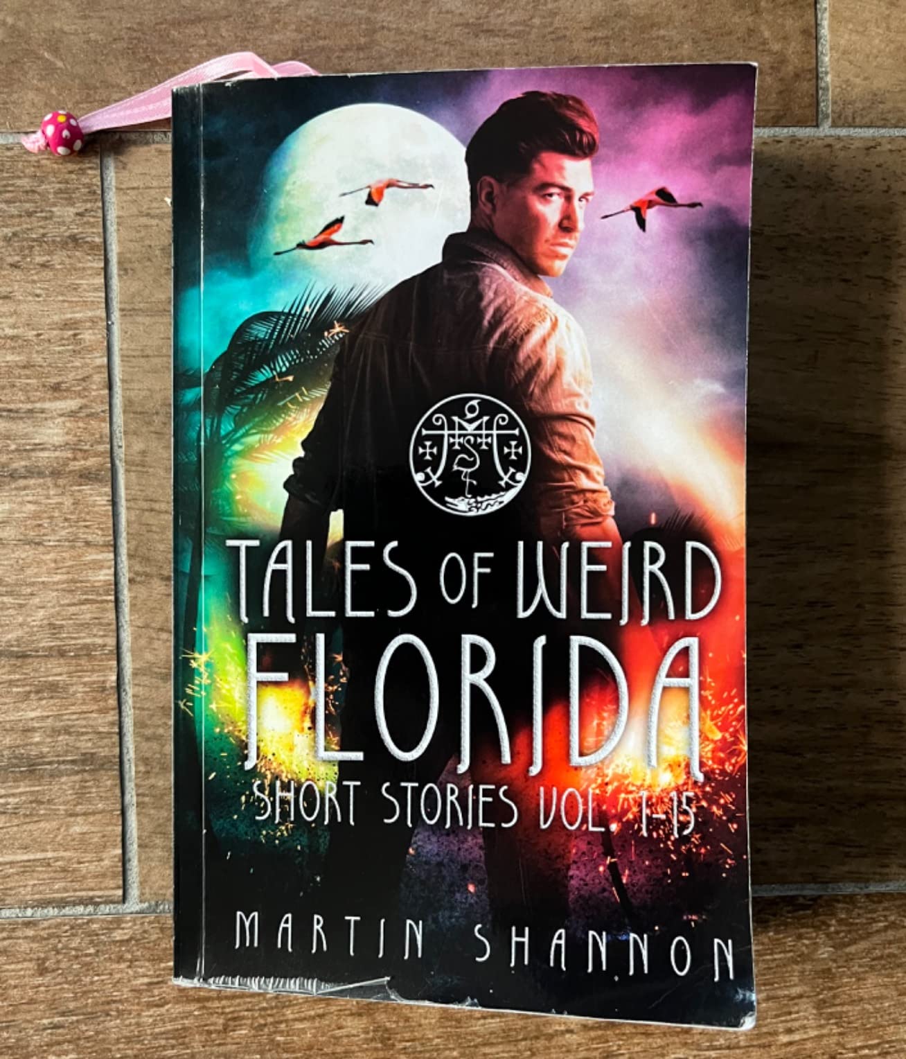 Tales of Weird Florida Short Stories 1-15: Shannon, Martin ...