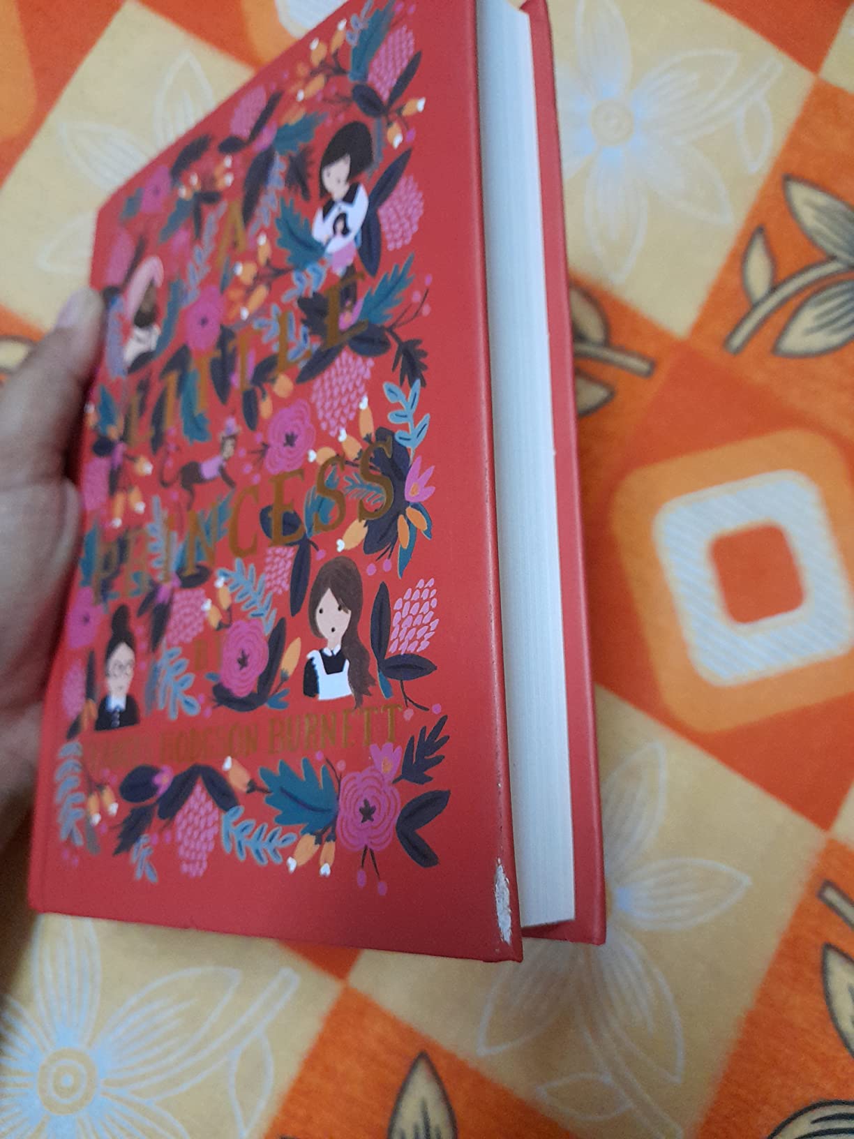 Buy The Little Princess Story of Sara Crewe -Abrdiged Book Online at ...