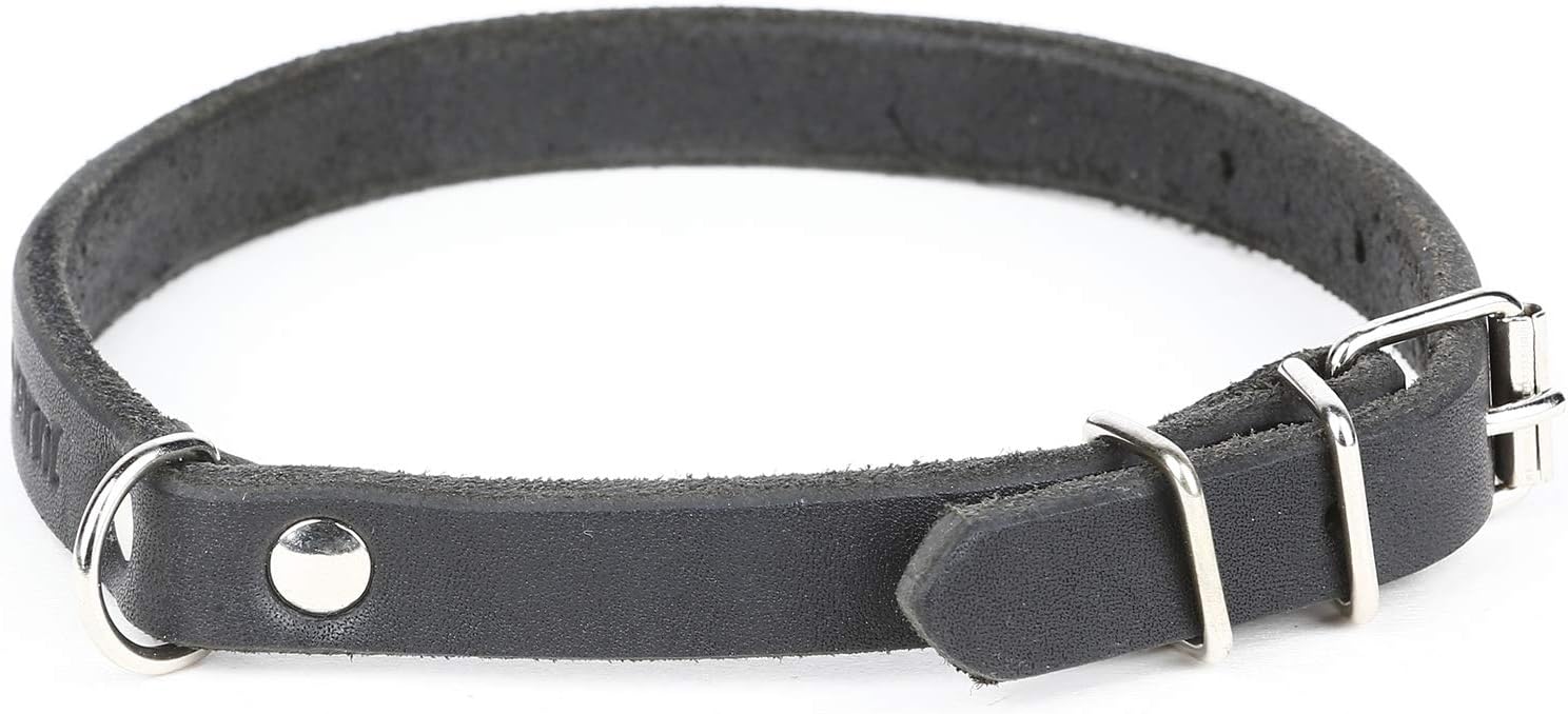 Julius-K9, 16045-S, Collier en cuir à rivets, 1.6 x 45 cm, Noir ...