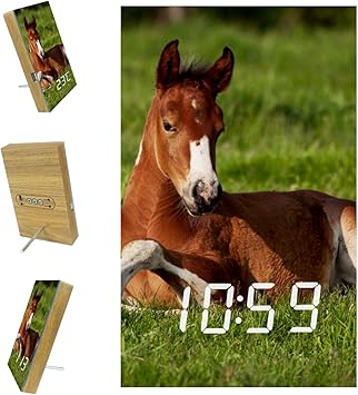 Indimization Reveil Matin Cheval Animal Réveil Numérique LED Horloge ...
