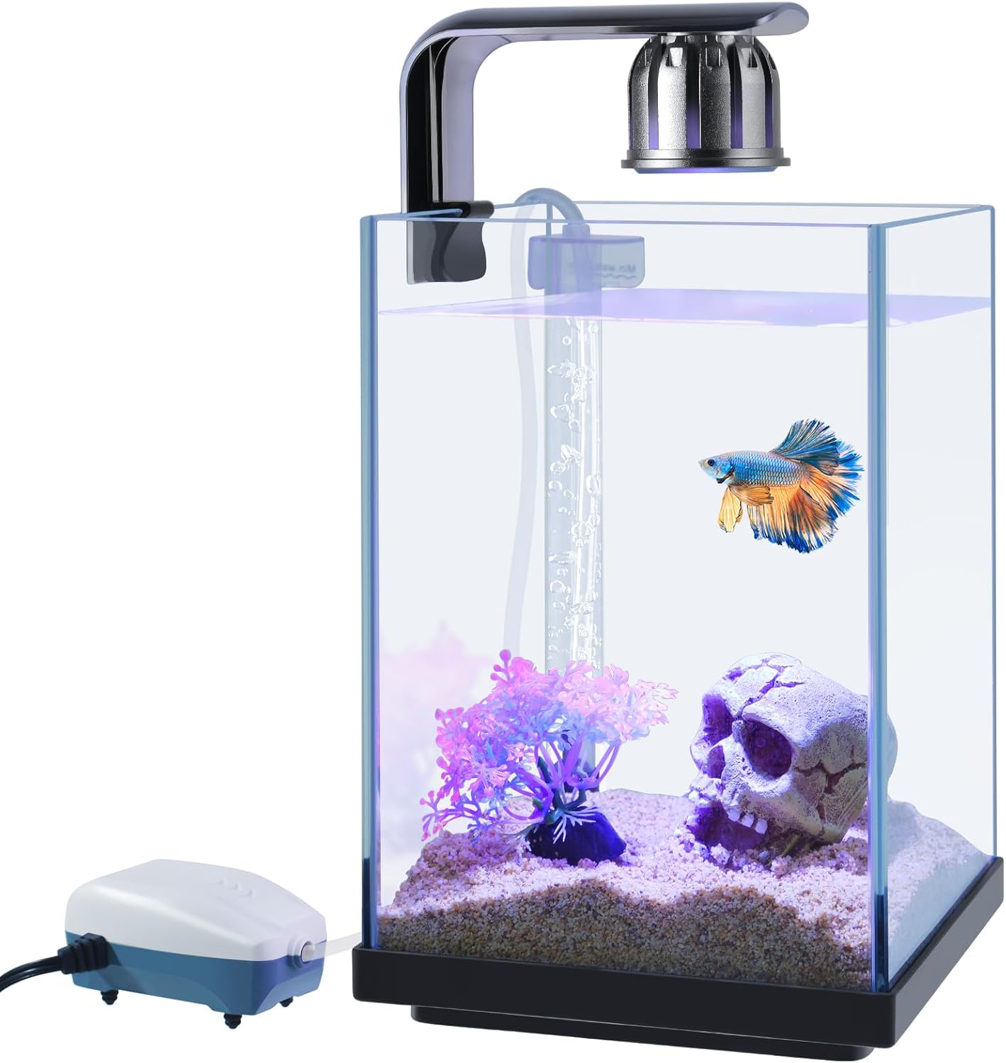 Amazon.com : HITOP 1.5Gallon Mini Glass Aquarium Fish Tank: 9in High ...