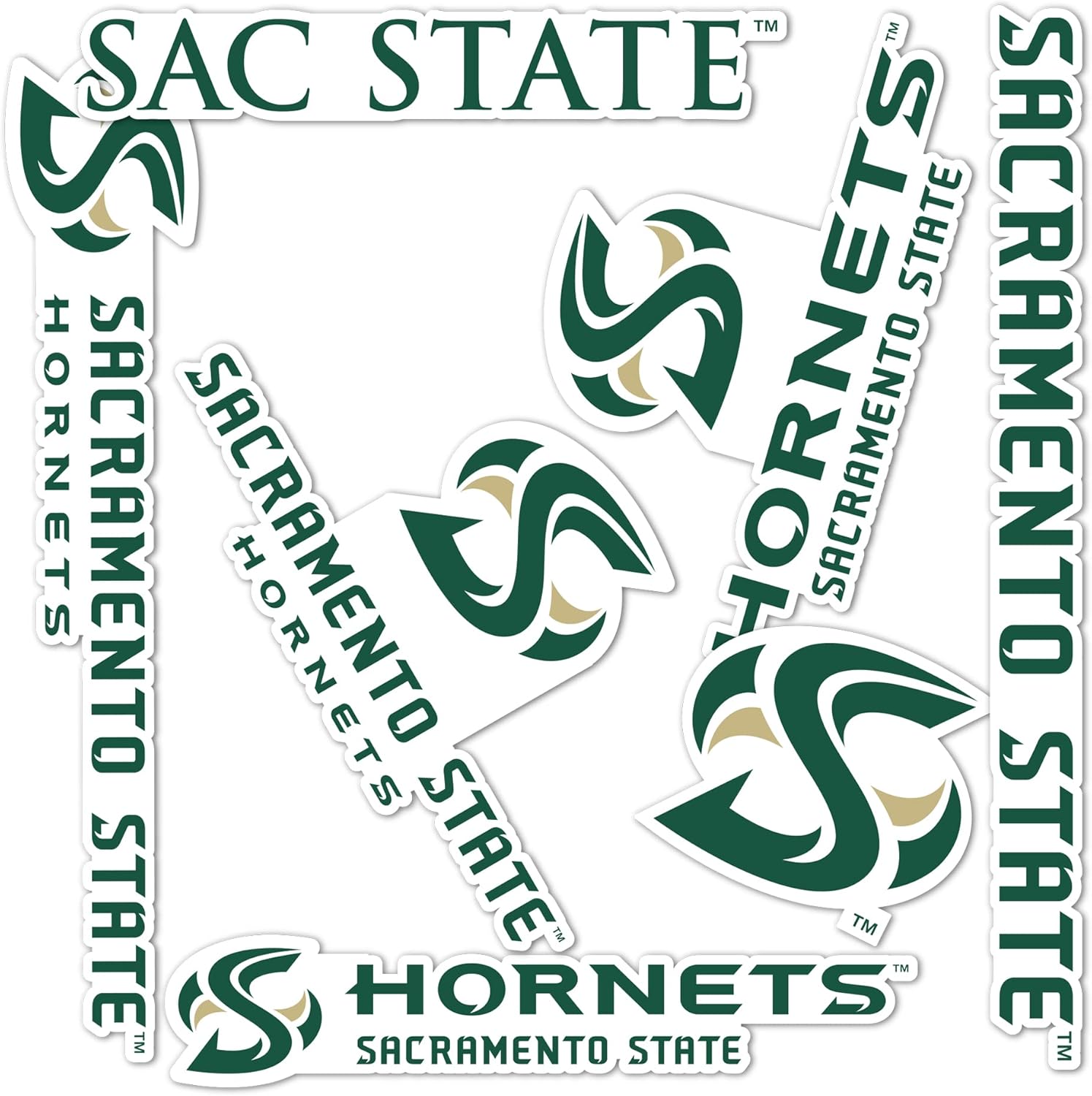 Amazon.com: Desert Cactus Cal State Sacramento University Sticker ...