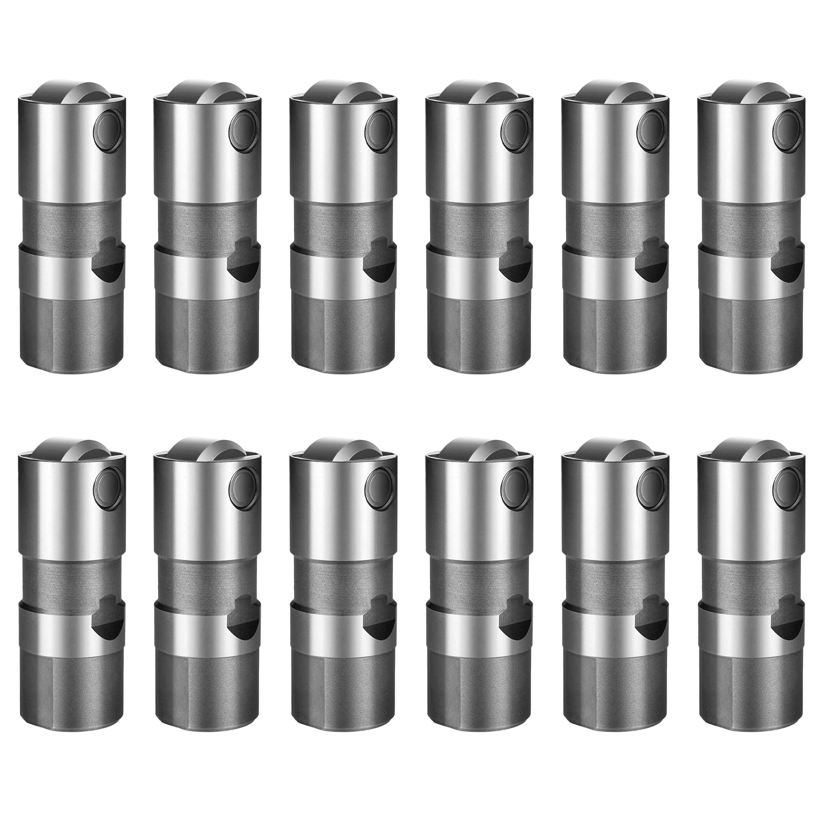 Amazon.com: Pubotlu 12 Pcs Hydraulic Flat Tappet Lifters, Lifters for 5 ...