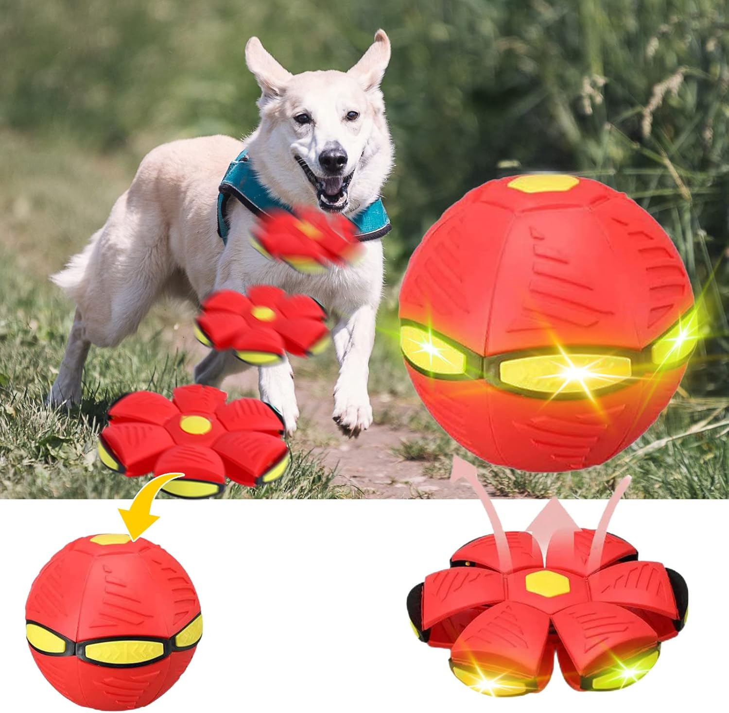 Pet Supplies : 2023 Pet Toy Flying Saucer Ball Dog Toy Balls Flying ...
