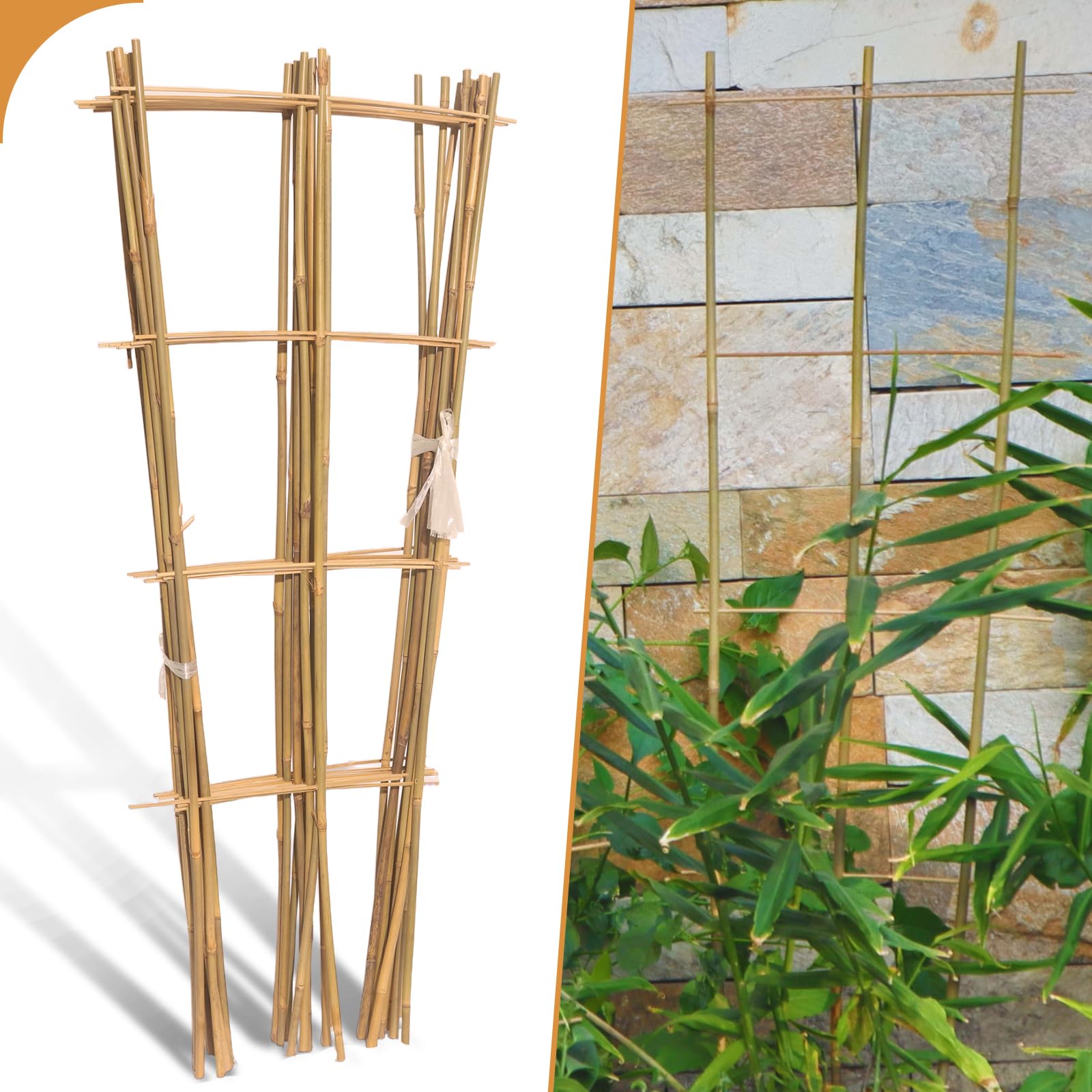 Snapklik.com : 10 Pack 3ft Bamboo Trellis For Climbing Plants-Natural ...