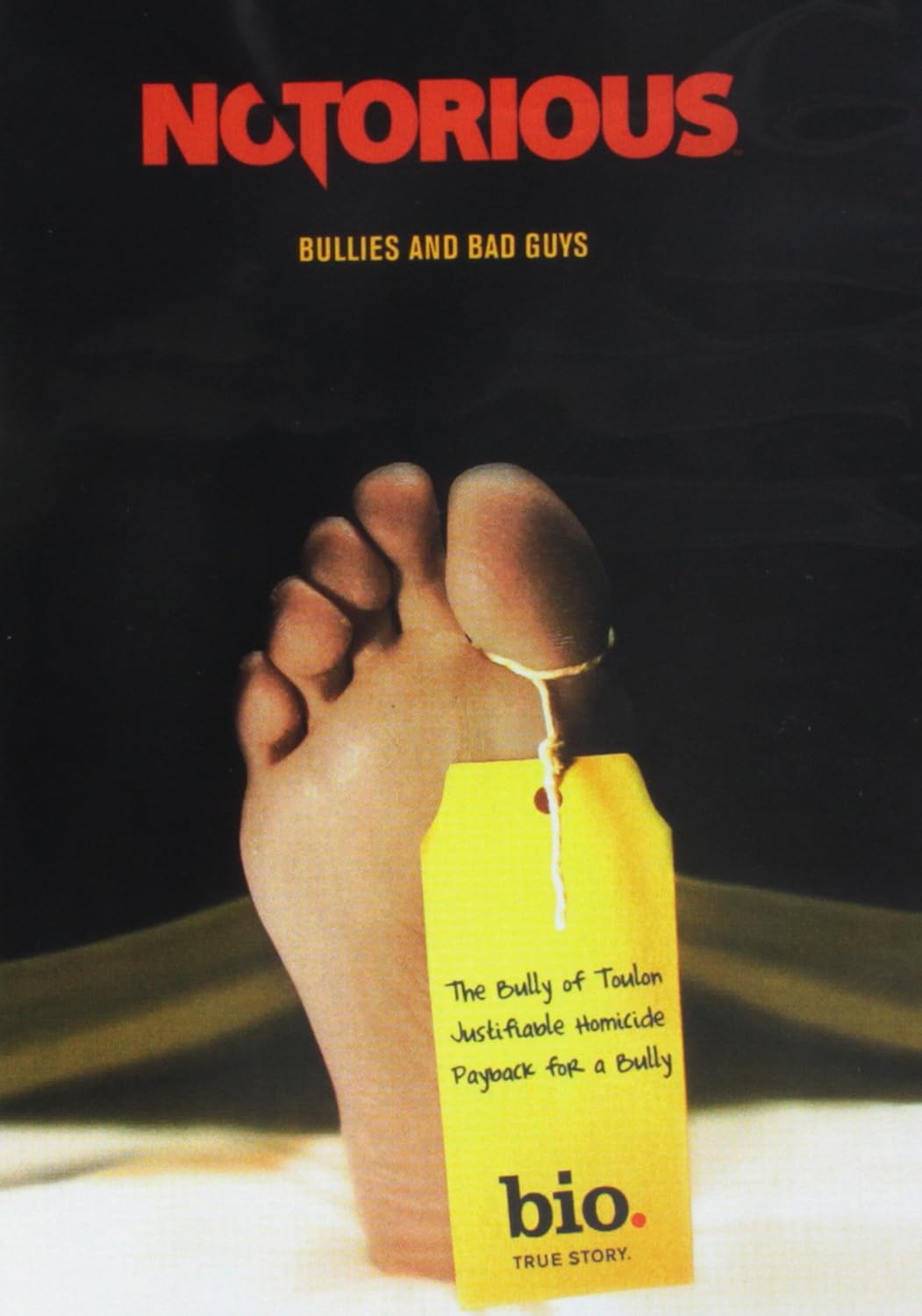 Notorious: Bully & Bad Guys [DVD] [Region 1] [NTSC] [US Import]: Amazon ...