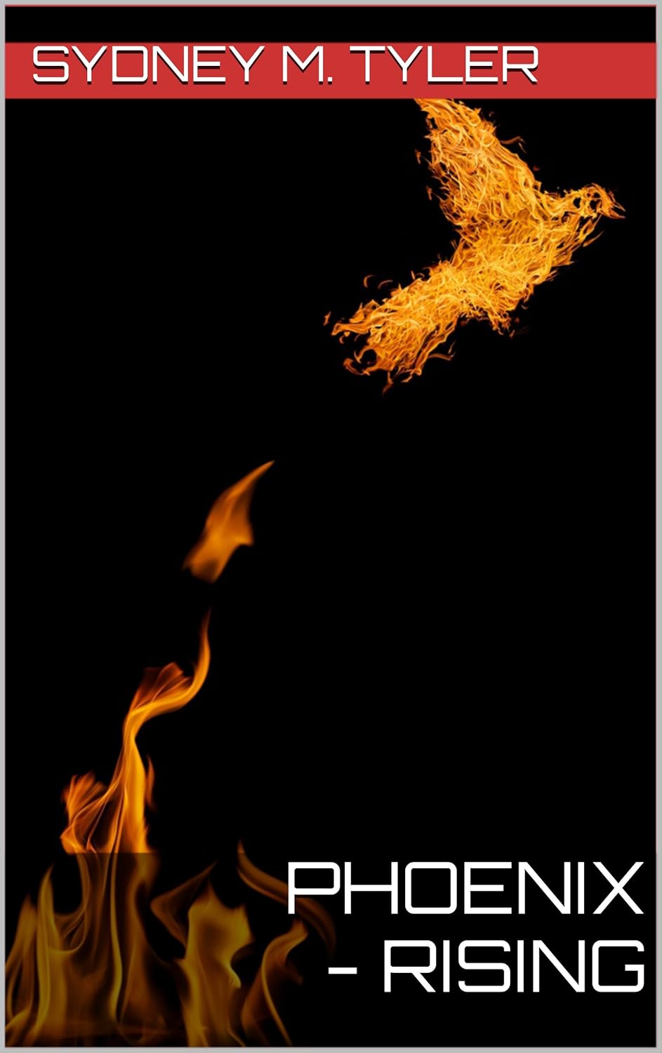 Amazon.com: Phoenix - Rising (Phoenix Project Book 2) eBook : Tyler ...