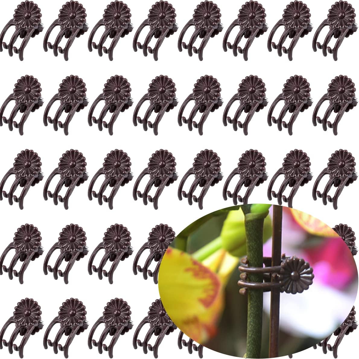 Amazon.com : EESC2Y 40-PCs Orchid Clips for Plants Support - Brown, for ...