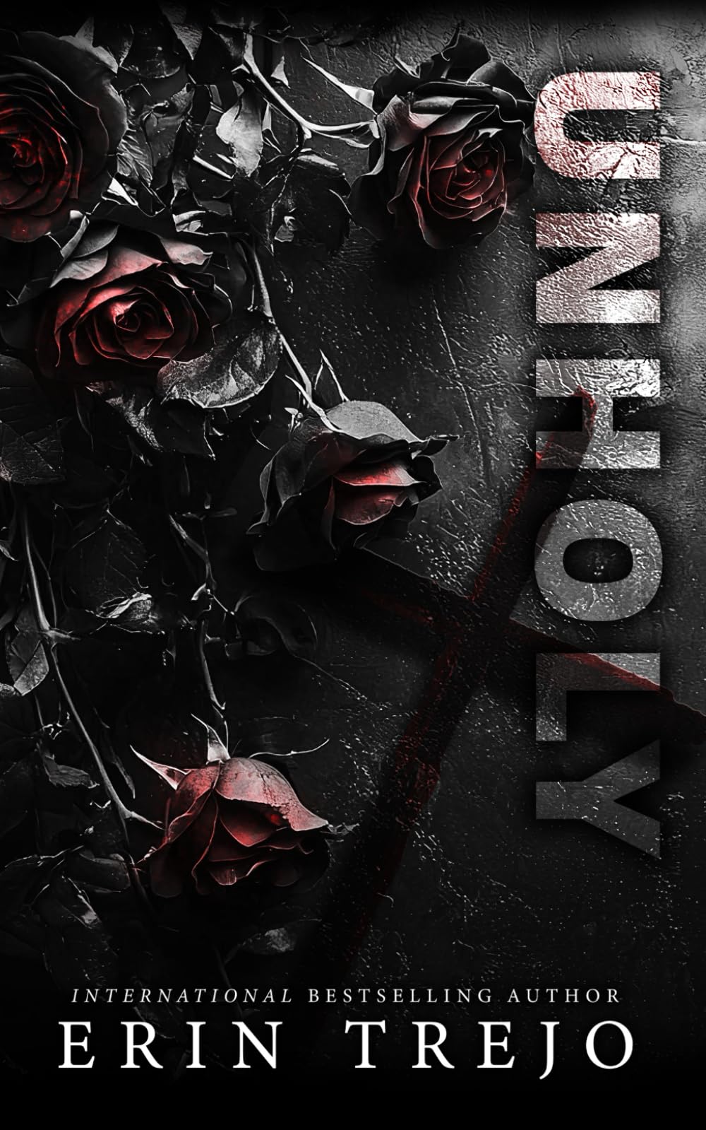 Amazon.com: Unholy: 9798303567238: Trejo, Erin: Books