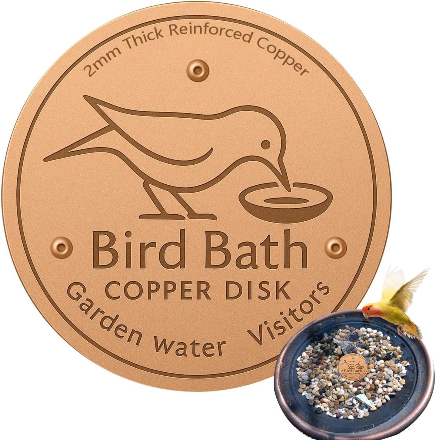 Amazon.com : 2-Pack Bird Bath Copper Disk | Water Fountain Disk for ...