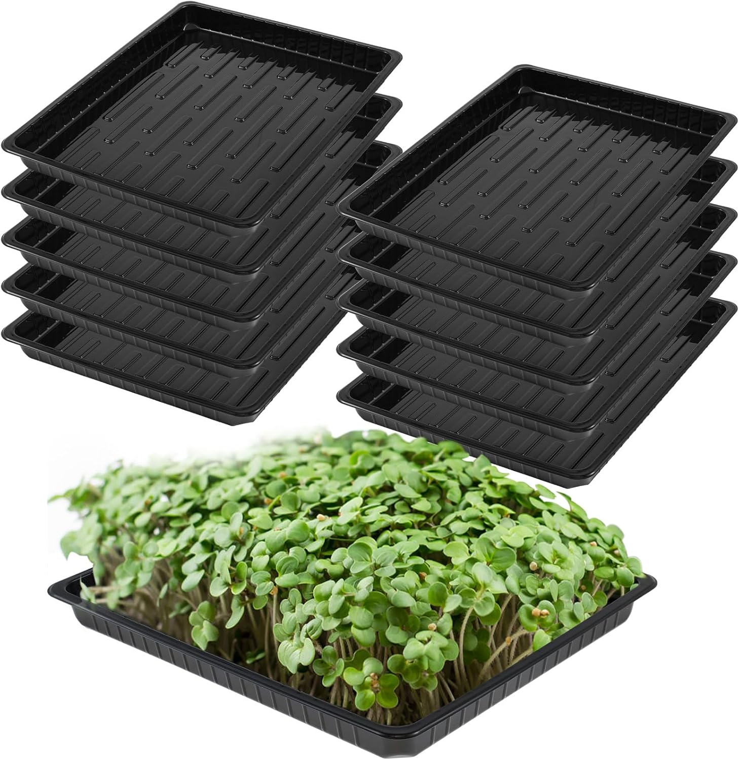 10Pcs Heavy Duty Plastic Growing Trays, No Holes Nursery Seedling Trays ...