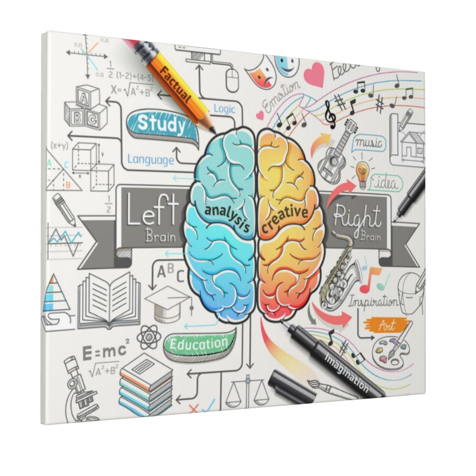 Human Brain Painting