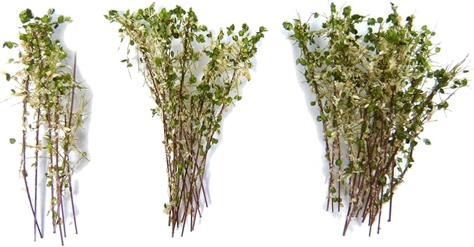 Amazon.com : Green Stuff World - Tall Shrubbery - White Green 9927 ...