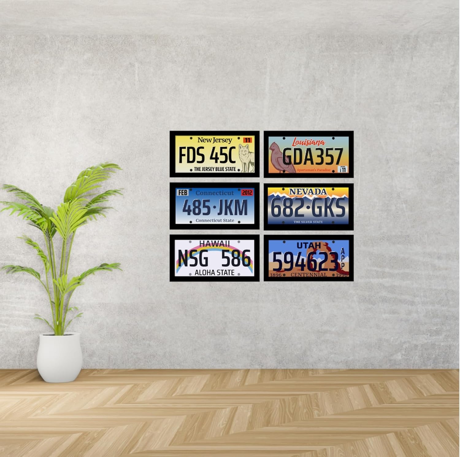 Car Plate Display Case 2 Pack License Plate Display Frames - 13.7x7.4 ...
