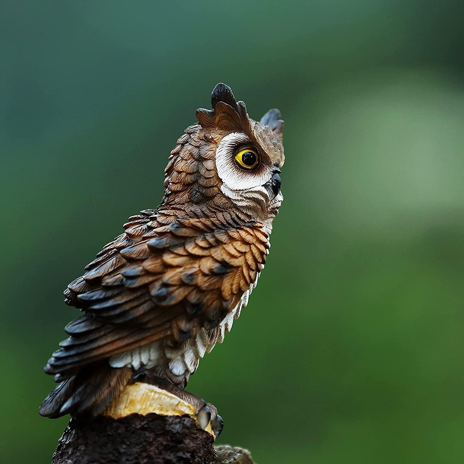 Amazon.com : Resin Garden Owl Statue, Defender of the Garden,Owl ...