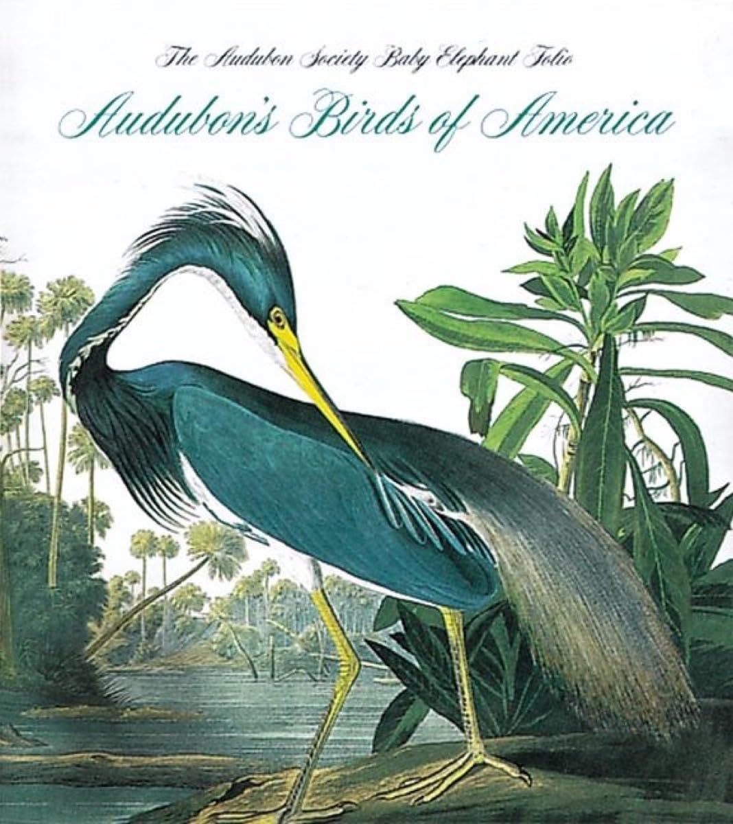Audubon's Birds of America: The National Audubon Society: The National ...