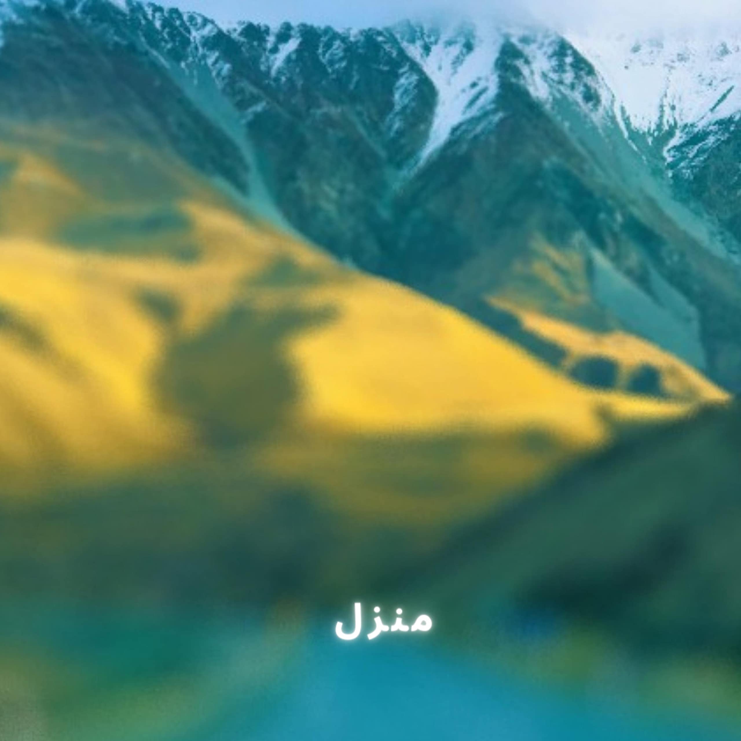 Wishes song by Hasan Raheem, Umair & Talwiinder from Maybe, It's Love ...