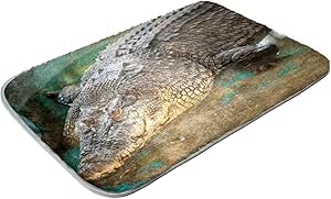 Amazon.com: Fluffy Area Shag Rug Ultra Soft for Bedroom Crocodile ...