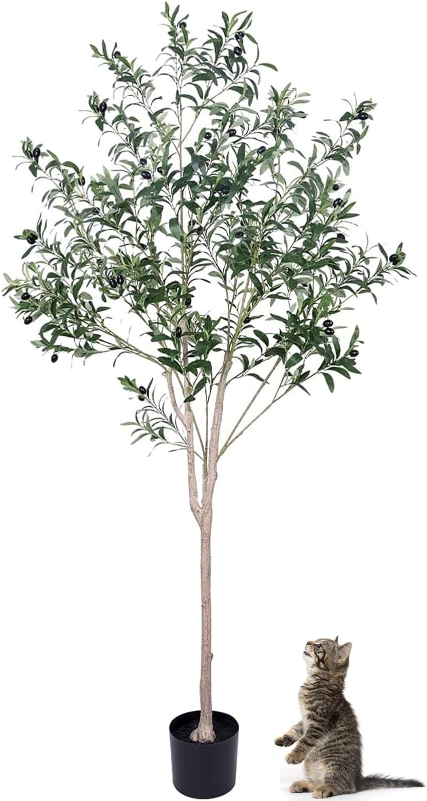 Amazon.com: 6ft Black Olive Tree, 72" Tall Olive Tree for Indoor Decor, Artificial Olive Tree ...