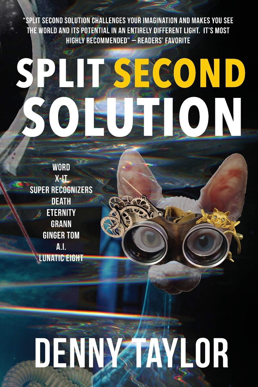 Split Second Solution: Taylor, Denny: 9781942146452: Amazon.com: Books