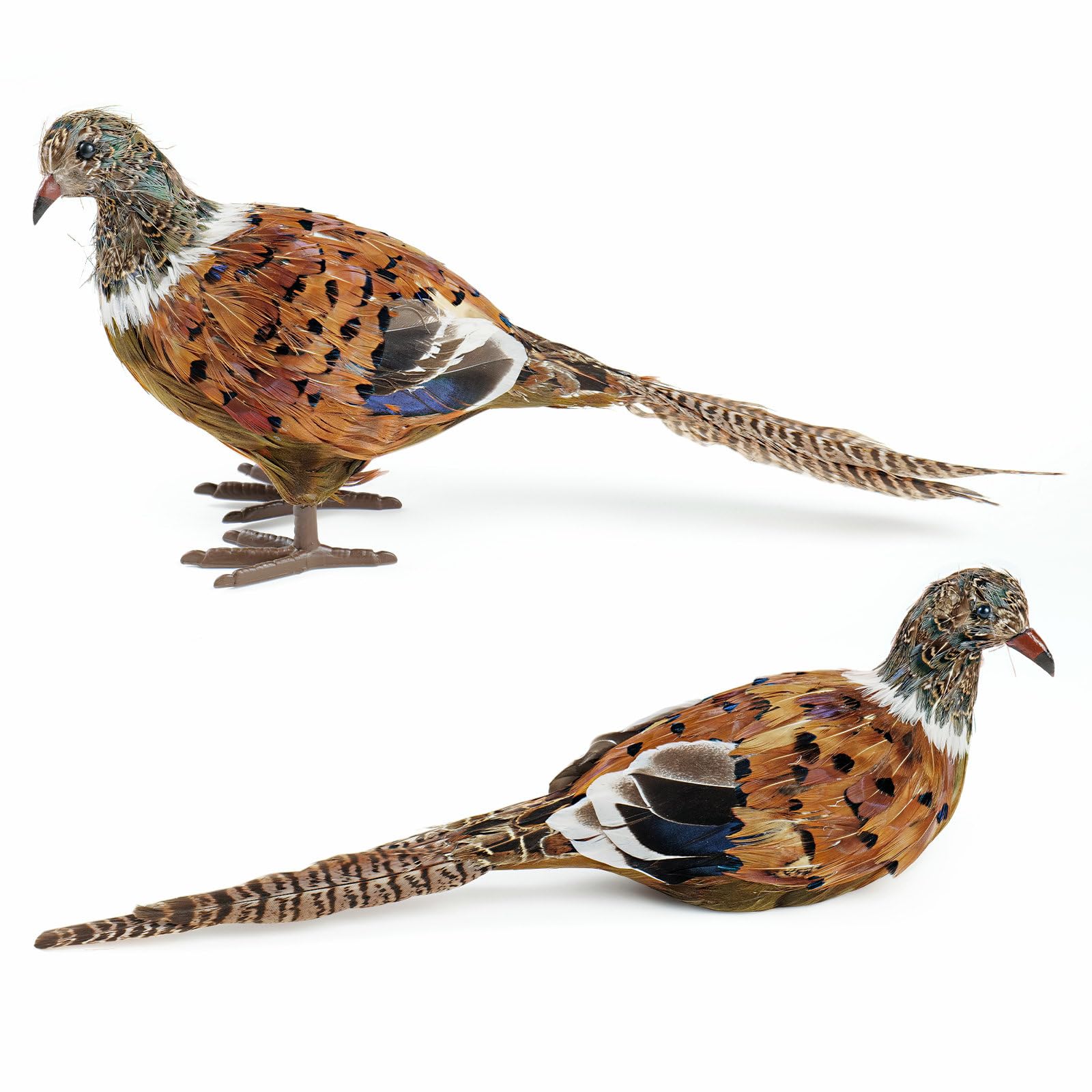Amazon.com: Nature Vibe Feathered Pheasant Decor Set of 2,Simulation ...