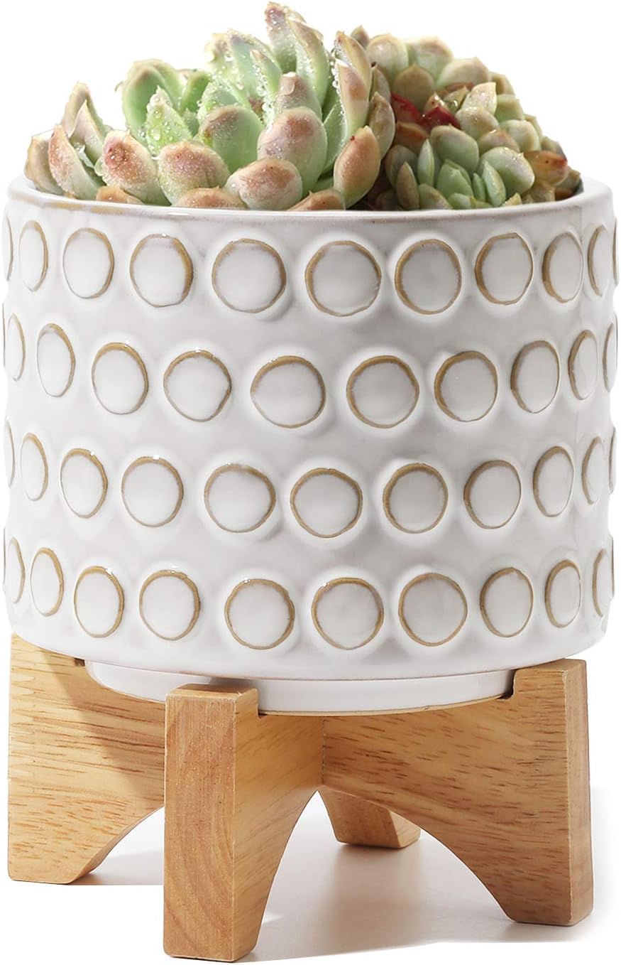 Amazon.com : 5 Inch Ceramic Plant Pots with Stand - White Mid Century ...