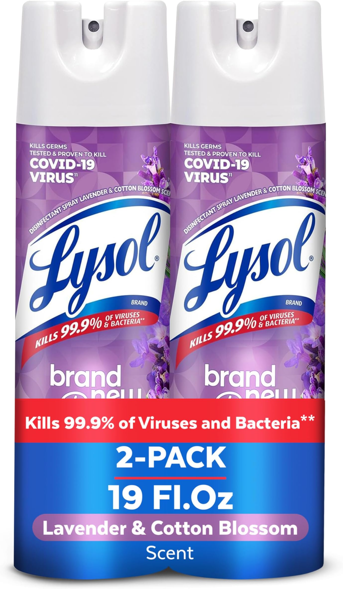 Amazon.com: Clean Home Spray Disinfectant, Citrus Scent, 19 oz Aerosol ...