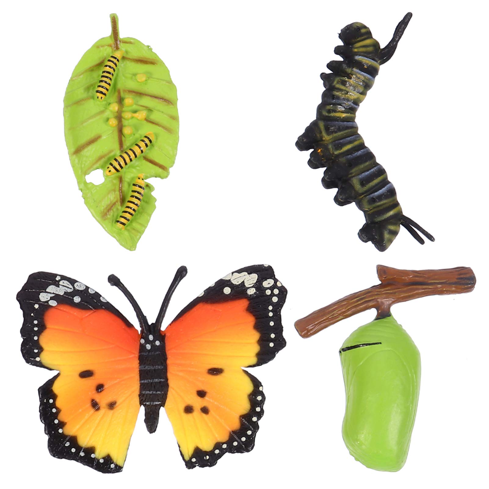 Cabilock Life Cycle Of A Monarch Butterfly Nature Insects Life ...