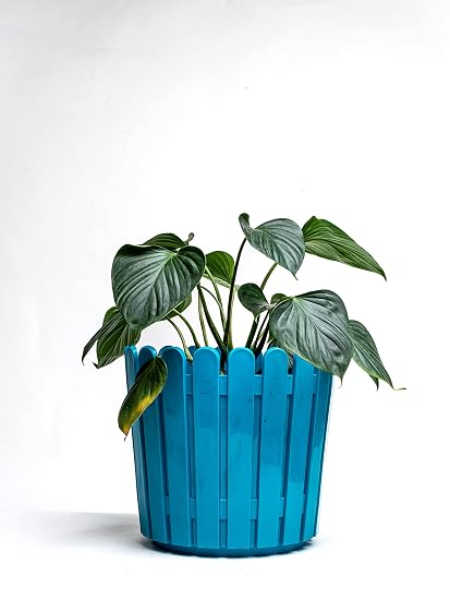 Nested Greens - Fence Pot 11” Inch | Indoor Plant Container | 11 inch ...