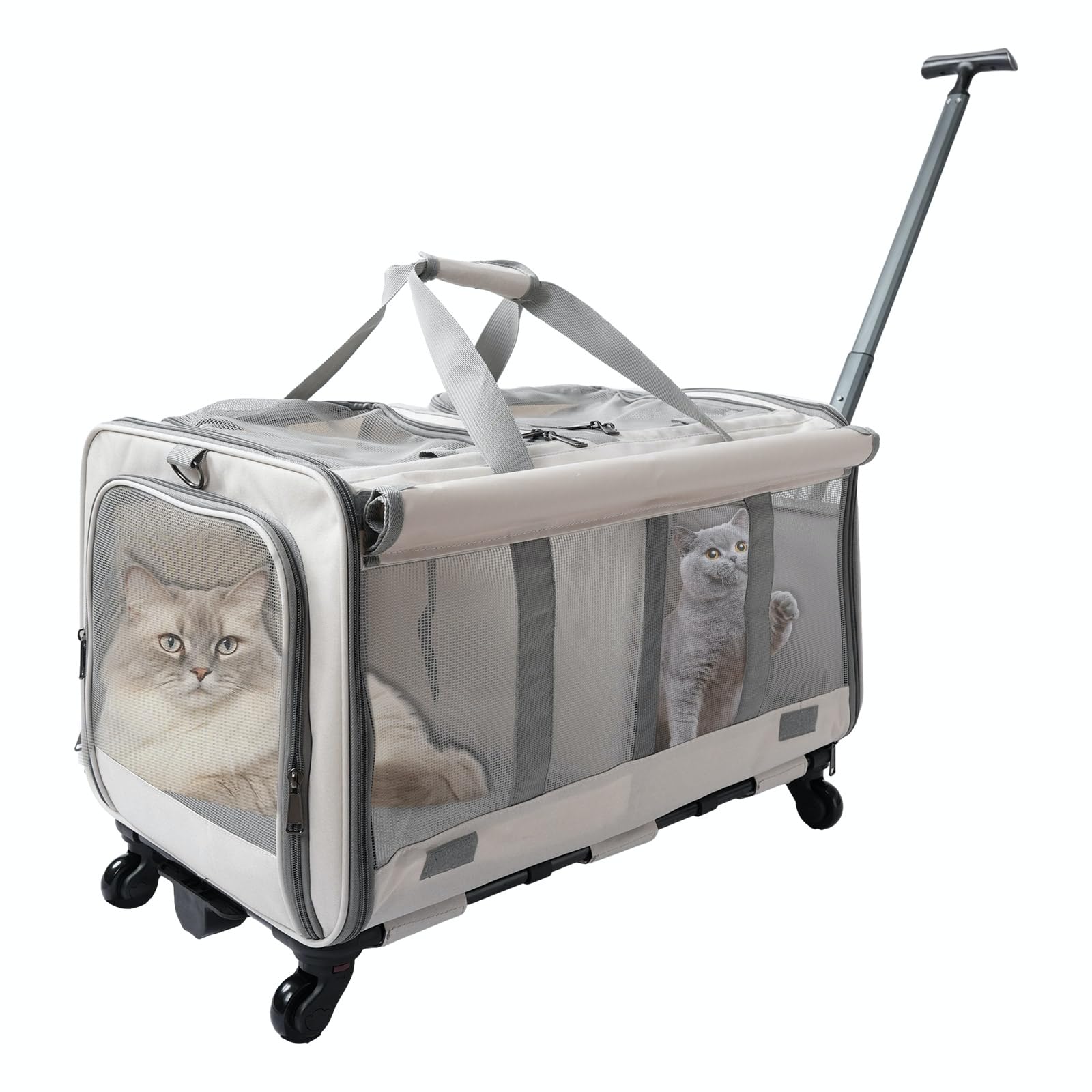 Amazon.com : UIRREL Double Compartment Pet Rolling Cat Carrier with ...