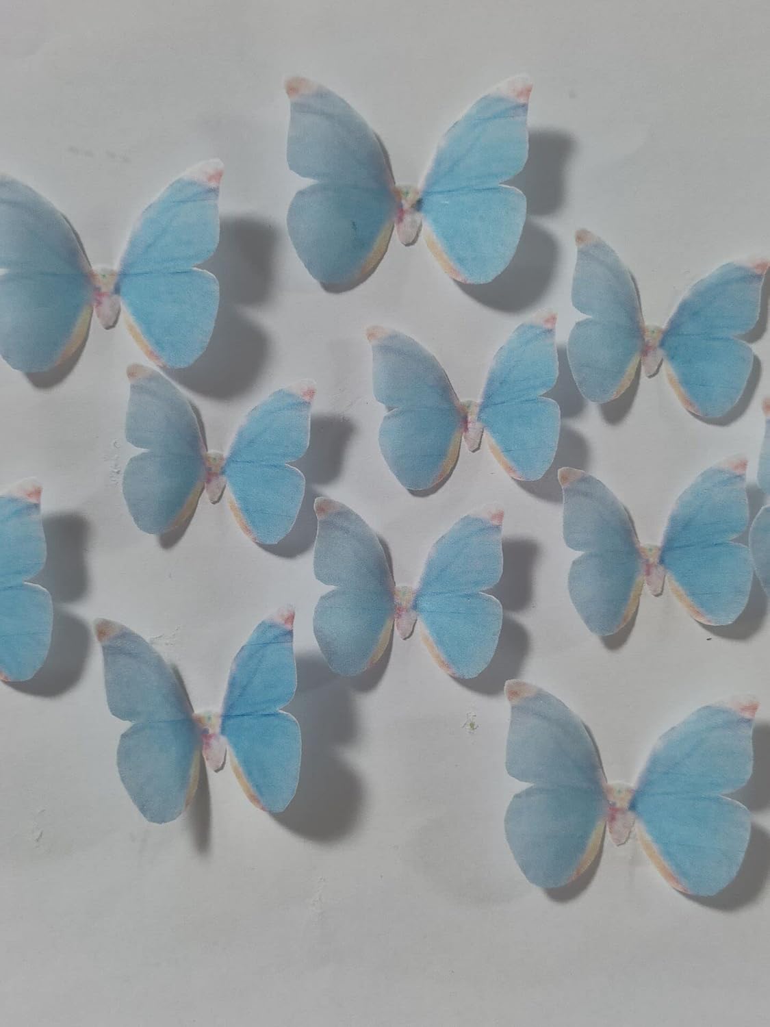 Amazon.com: Edible Butterfly - Light Blue Variety Set of 45 Pieces ...