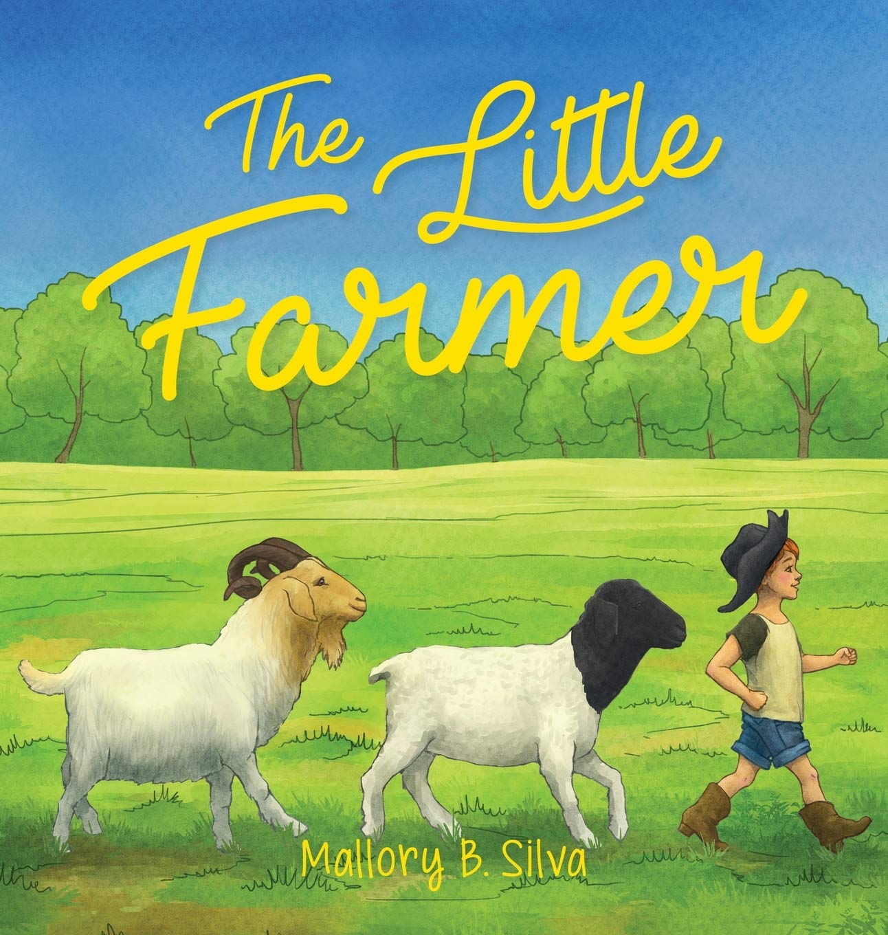 The Little Farmer: Silva, Mallory B: 9781643882642: Amazon.com: Books