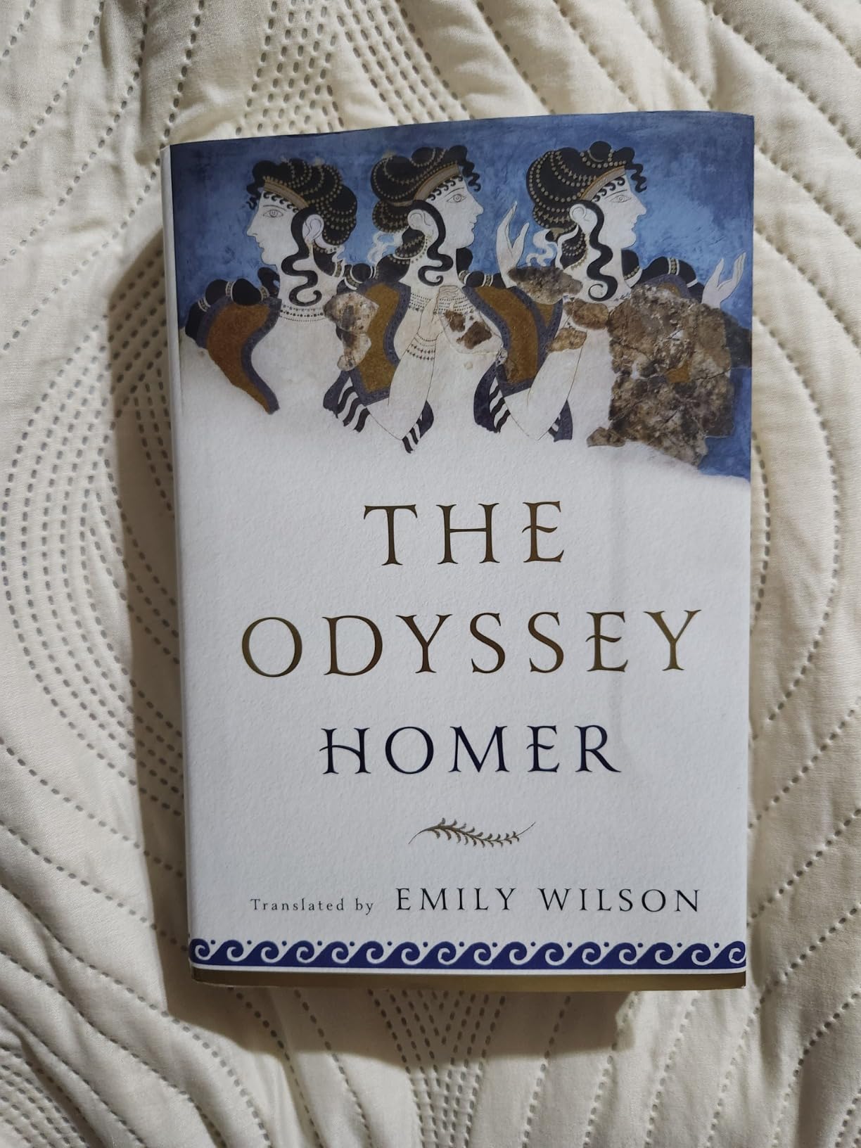 The Odyssey : Homer, Wilson, Emily: Amazon.com.mx: Libros