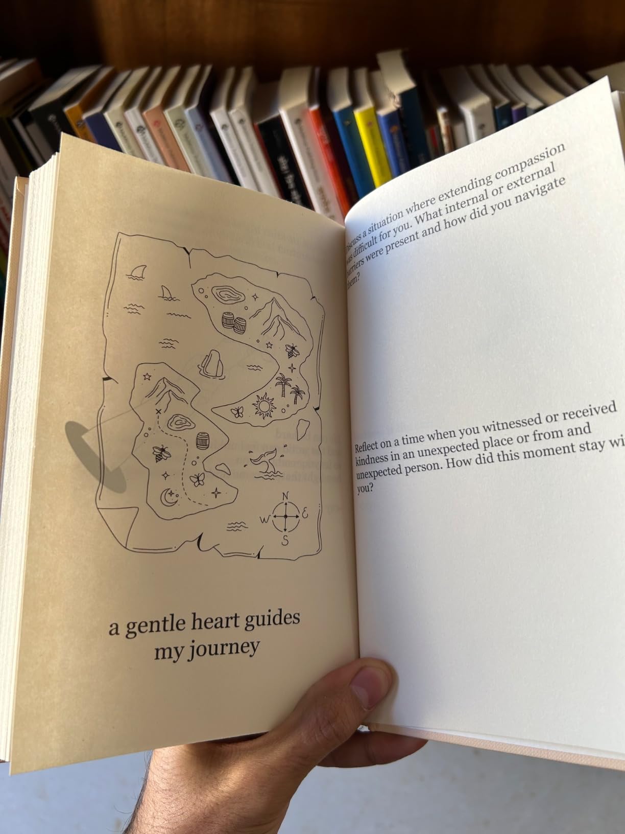 Glimmers: Your Daily Journal For Positive Reflection : Cailin ...