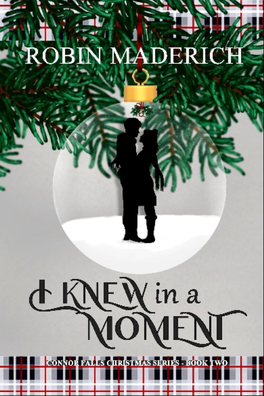 Amazon.com: I Knew in a Moment - Connor Falls Book Two eBook : Maderich, Robin: Kindle Store