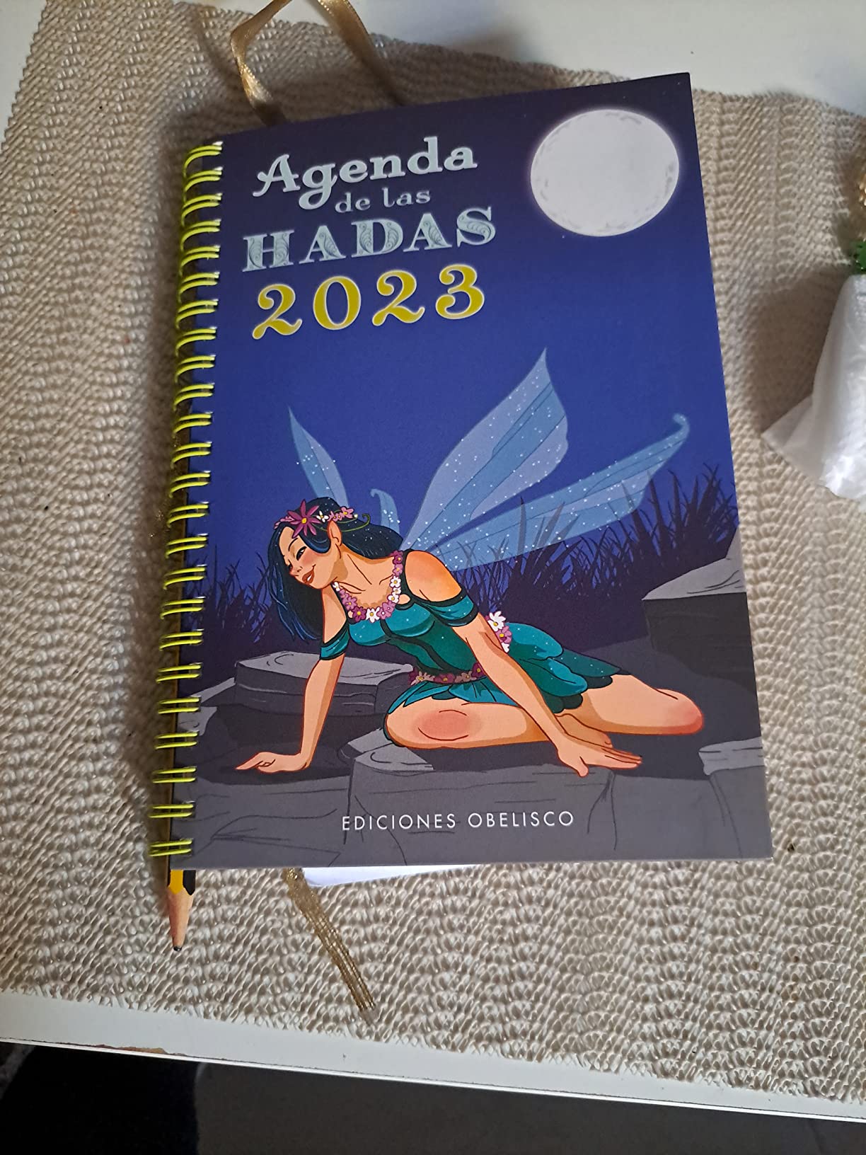 Agenda de las Hadas 2023 (AGENDAS Y CALENDARIOS) : AA.VV.: Amazon.es: Oficina y papelería