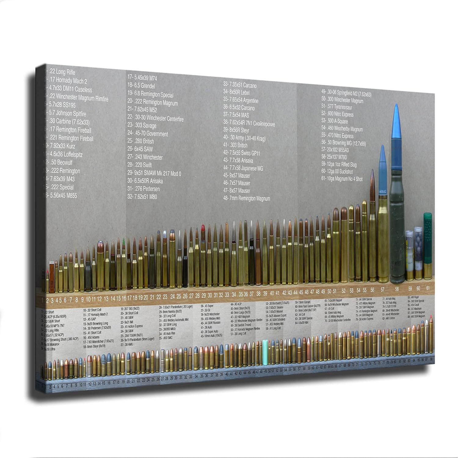Amazon.com: American Bullets Chart Posters Bullet Caliber Type Chart ...