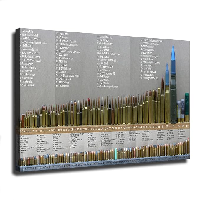 Amazon.com: American Bullets Chart Posters Bullet Caliber Type Chart ...